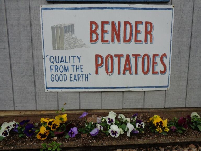 Rhodes Grove Camp : Chambersburg, PA